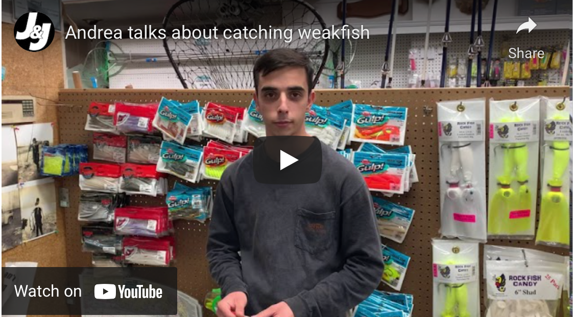 Let's Talk Weakfish-View Video – J & J Sports Inc.-Bait & Tackle ...