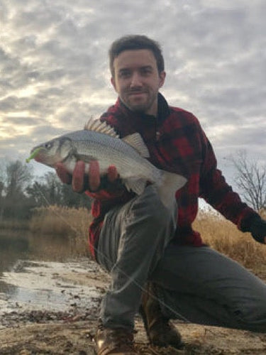 The Best Tips and Tactics for White Perch Fishing? – J & J Sports Inc ...