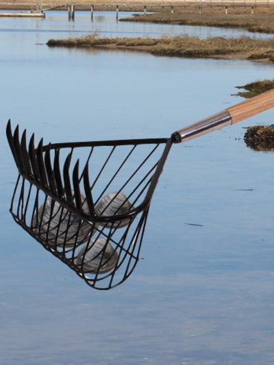 Crabbing & Clamming Supplies – Tagged "Clam Rake" – J & J Sports Inc ...