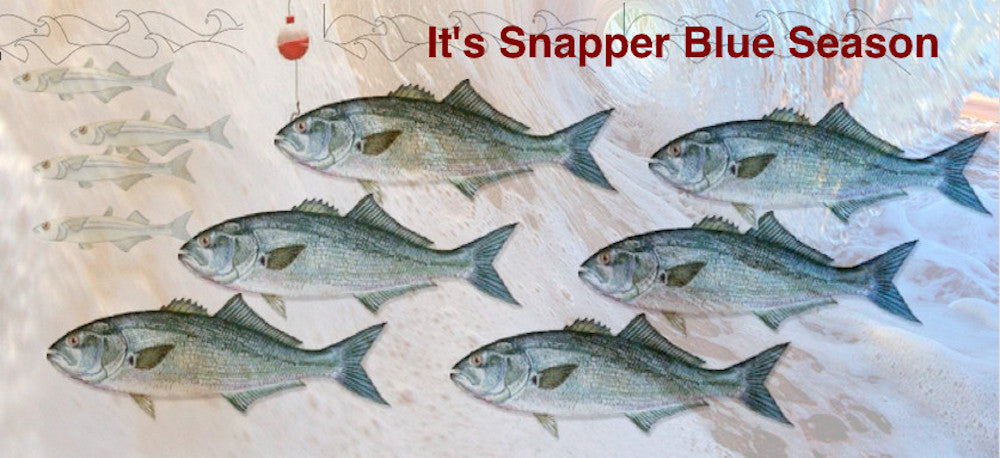 JJSPORTSFISHING.COM…For All Your Fishing Long Island Needs – J & J ...